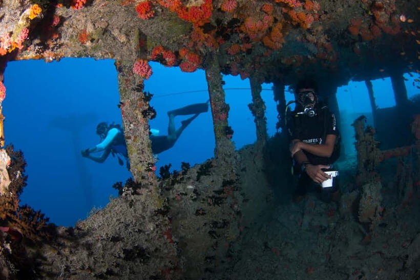Maldives: Victory Shipwreck Scuba Dive - Practical Details & Value