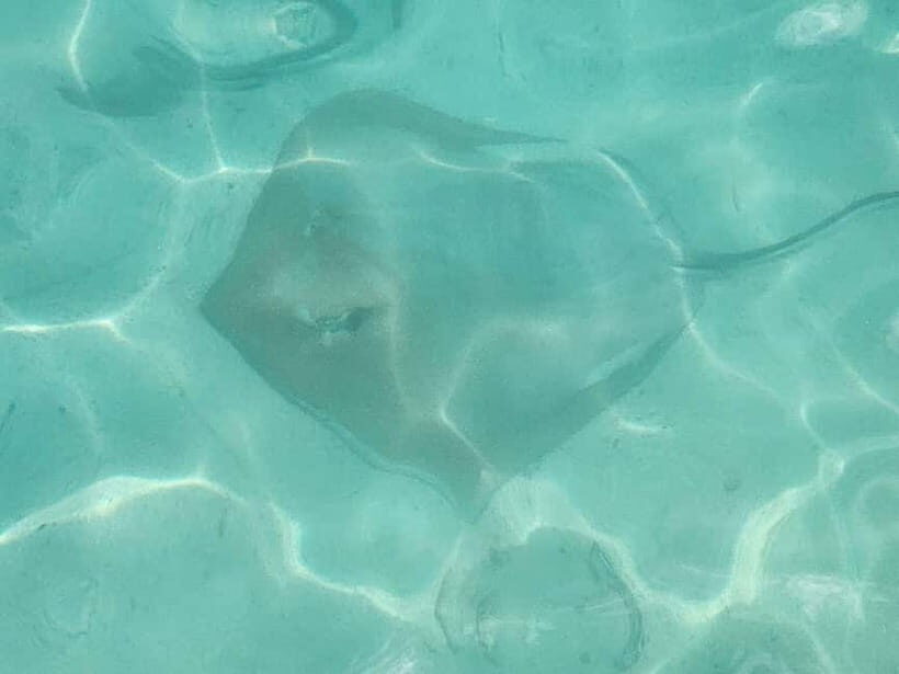 Malé: Two-Point Snorkelling Adventure - Key Points