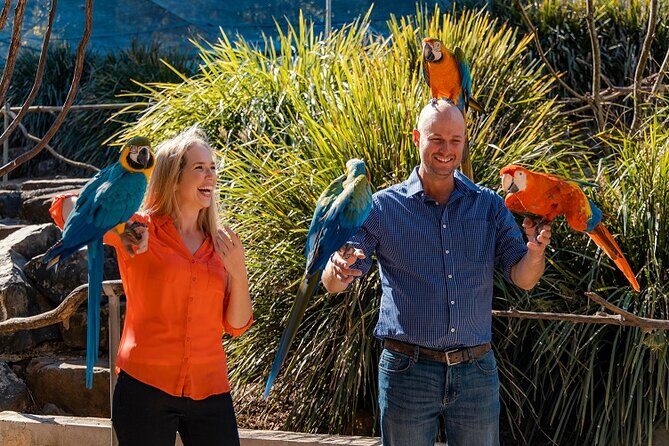 Maleny Botanic Gardens Bird Aviary Experience Ticket - Practical Details: Duration, Cost, and Booking