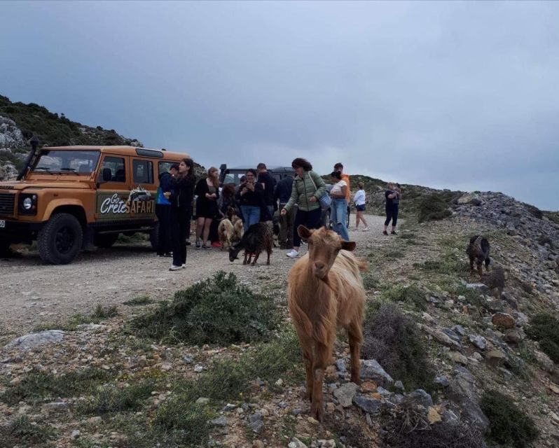MALIA: East Crete Famous Places (Family and Child Friendly) - Frequently Asked Questions