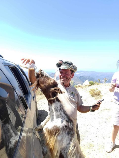 MALIA: Land rover Safari Lasithi Plateau and Zeus Cave - FAQ