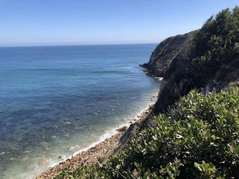 Malibu Beach: Surf Tour in a Vintage VW Van - The Sum Up