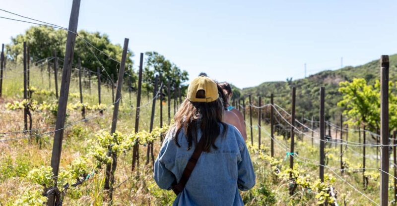 Malibu: Guided Vineyard Hike with Photo Stops and Wine - Is It Worth the Price?
