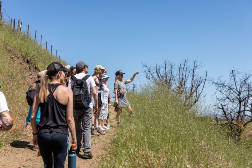 Malibu: Guided Vineyard Hike with Photo Stops and Wine - Frequently Asked Questions