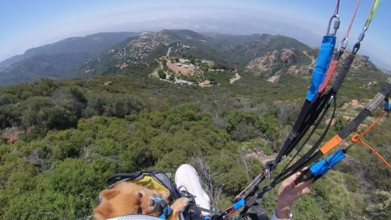 Malibu Hills to Beach: Tandem Paragliding Flight Adventure - FAQ