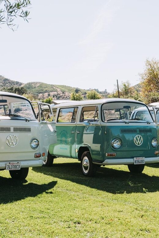 Malibu: Vintage VW Bus and Vineyard Tour - Authentic Experiences and Authenticity of the Tour