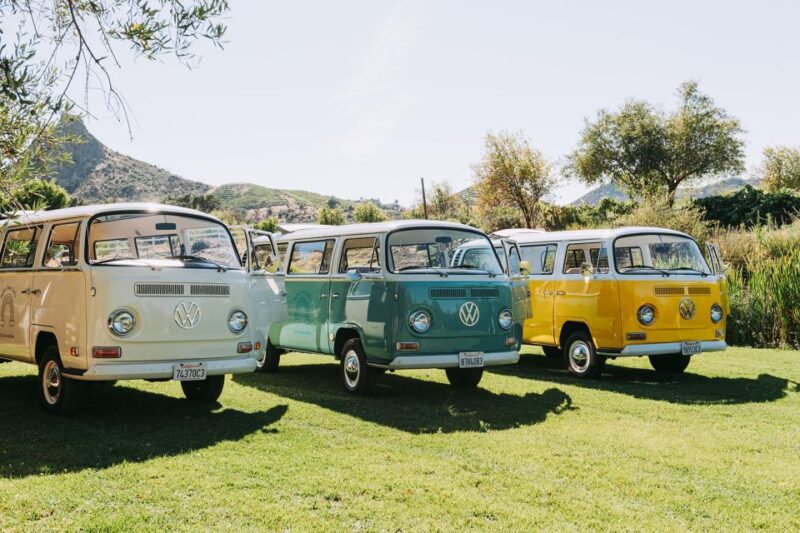 Malibu: Vintage VW Bus and Vineyard Tour - The Guide and Atmosphere