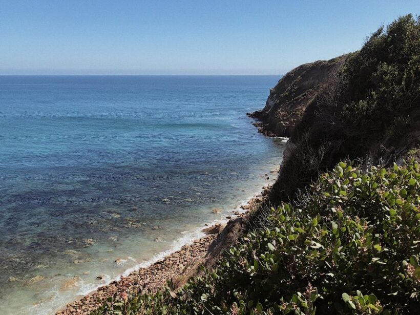 Malibu: Vintage VW Sightseeing Tour and Wine Tasting - Authenticity and Atmosphere