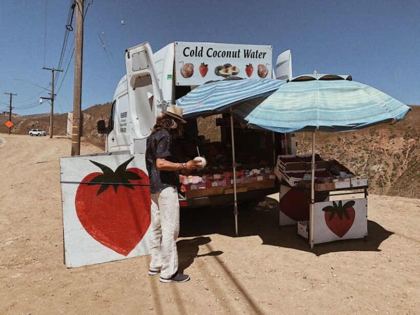 Malibu: Vintage VW Sightseeing Tour and Wine Tasting - Who Will Love This Tour?