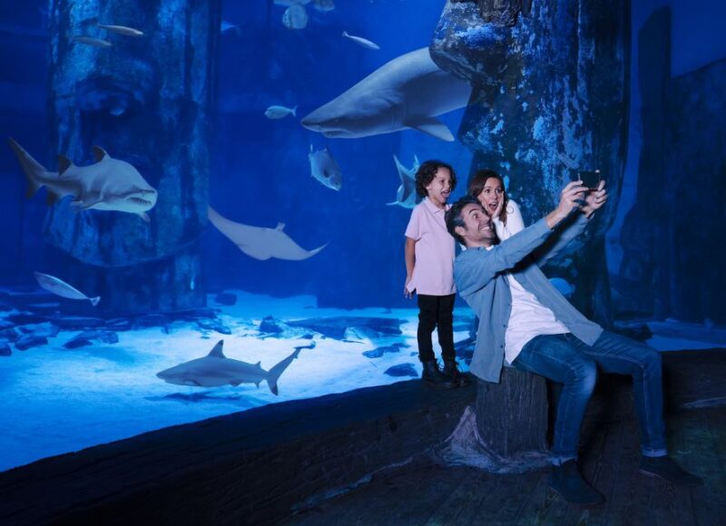 Mall of America: Sea Life Minnesota Aquarium Entry Ticket - What to Expect: A Closer Look