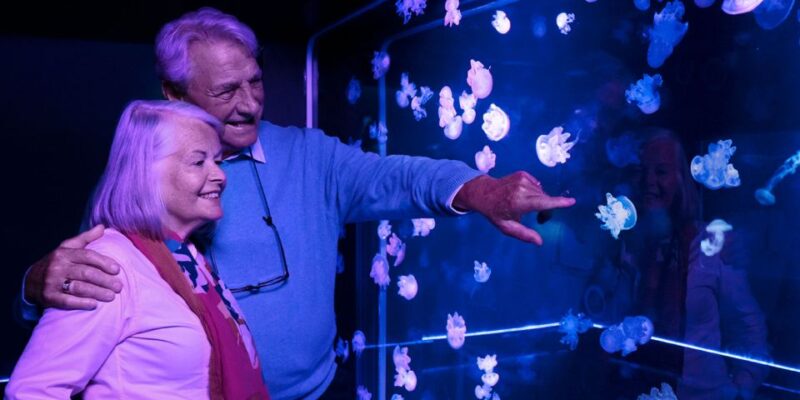 Mall of America: Sea Life Minnesota Aquarium Entry Ticket - Who Should Visit?