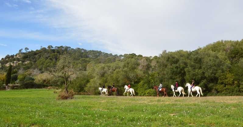 Mallorca: Activity, Antique Mallorca with Picnic - An Introduction to the Experience