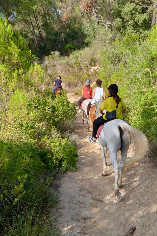 Mallorca: Activity, Antique Mallorca with Picnic - What You Can Expect from the Tour