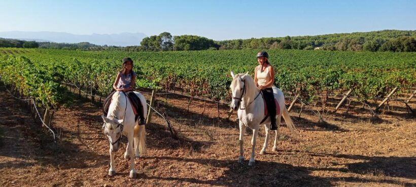 Mallorca: Activity, Antique Mallorca with Picnic - Who Should Consider This Tour