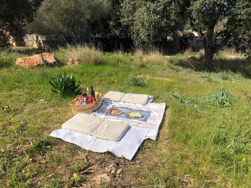 Mallorca: Activity, Antique Mallorca with Picnic - FAQ