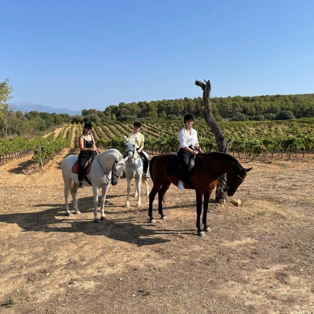 Mallorca: Activity with Horses, Antique Mallorca - Key Points