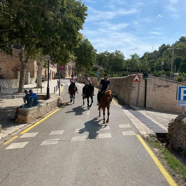 Mallorca: Activity with Horses, Antique Mallorca - An In-Depth Look at the Experience