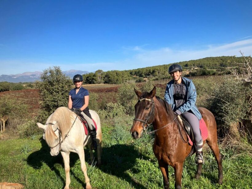 Mallorca: Activity with Horses, Antique Mallorca - Who Will Appreciate This Tour?
