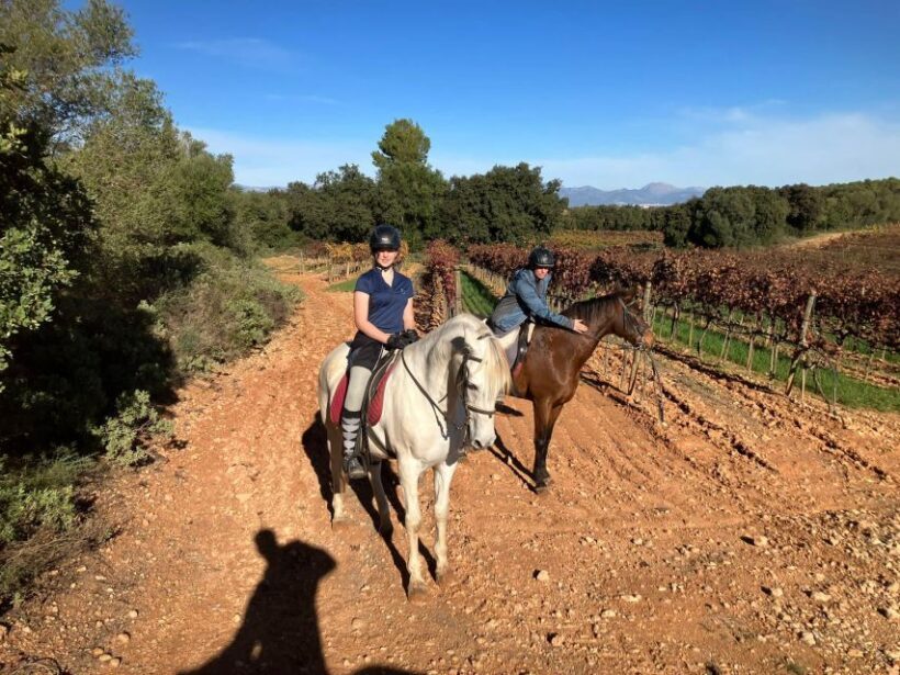 Mallorca: Activity with Horses, Antique Mallorca - Final Thoughts