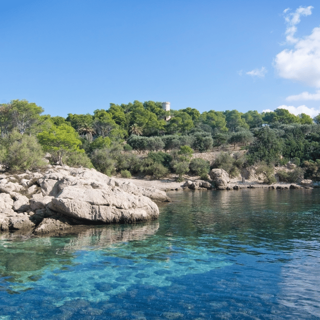 Mallorca: Boat Transfer between Port Andratx and Sant Elm - Final Thoughts: A Practical, Authentic Coastal Experience