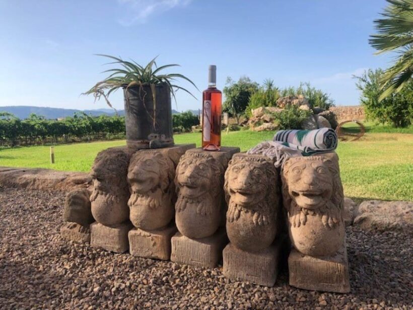 Mallorca: Bodega Butxet Vineyards & Winery Tour with Tasting - Key Points