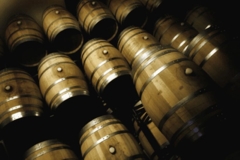 Mallorca: Bodega Butxet Vineyards & Winery Tour with Tasting - A Detailed Look at the Mallorca Wine Tour Experience