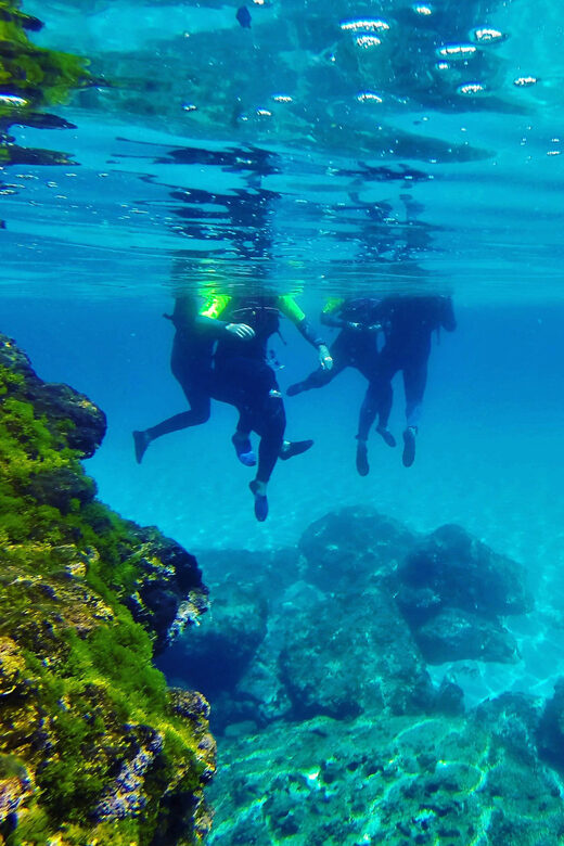 Mallorca: Cala Romántica Cliff Hike and Sea Cave Tour - FAQ