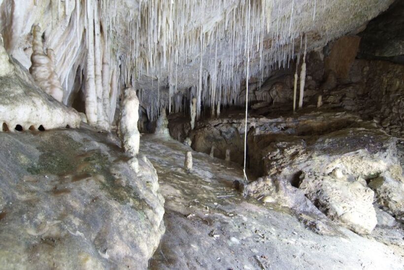 Mallorca: Campanet Caves Entry Ticket - What Makes the Campanet Caves Special?