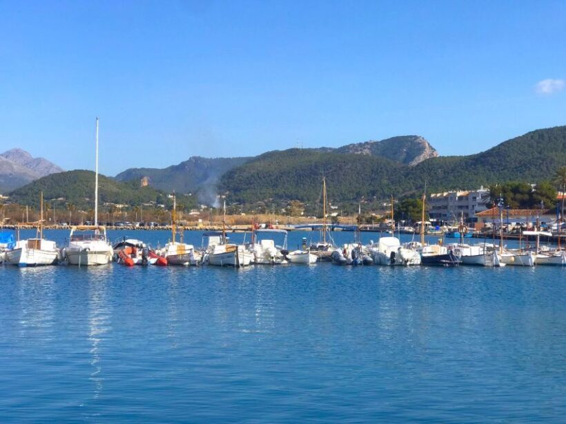 Mallorca: Catamaran Coastal Cruise with Lunch - Key Points