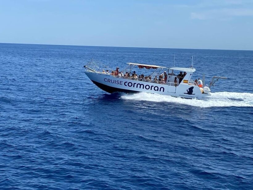 Mallorca: Caves, Cliffs, and Coves Boat Trip - The Sum Up