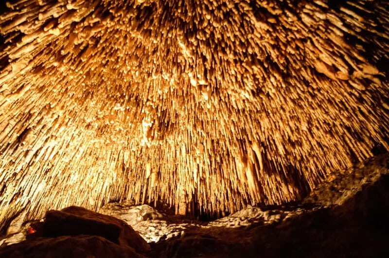 Mallorca: Caves of Drach Tour from the North with Boat Trip - How does the itinerary unfold?