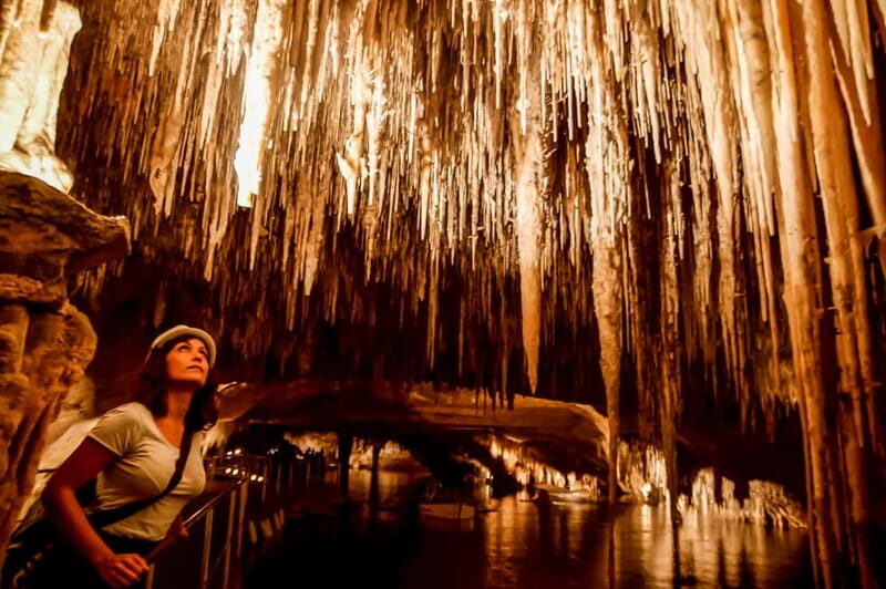 Mallorca: Caves of Drach Tour from the North with Boat Trip - How about the logistics and value?