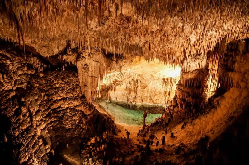 Mallorca: Caves of Drach Tour from the North with Boat Trip - Who should book this tour?