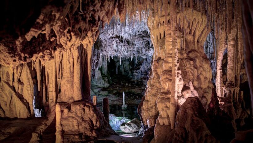 Mallorca: Caves of Hams and Dinosaurland Ticket with Pickup - An In-Depth Look at the Tour Experience