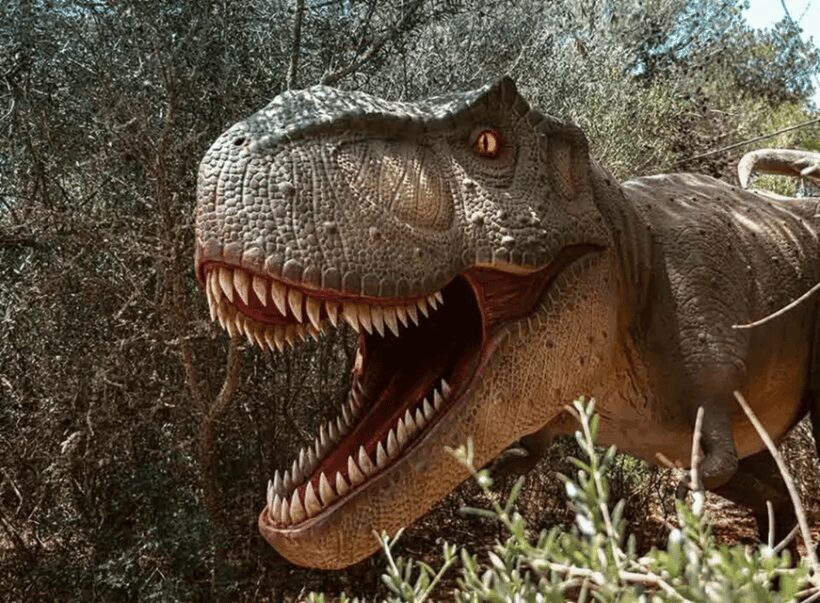 Mallorca: Caves of Hams and Dinosaurland Ticket with Pickup - Who Will Appreciate This Tour?