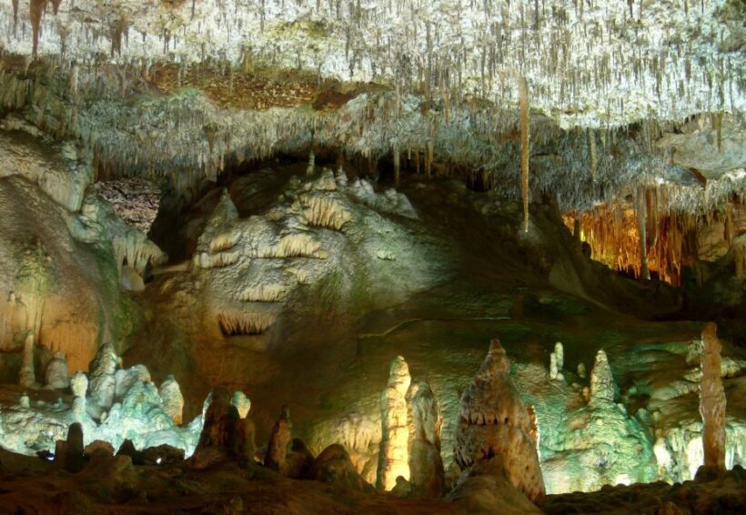 Mallorca: Caves of Hams and Dinosaurland Ticket with Pickup - Final Thoughts