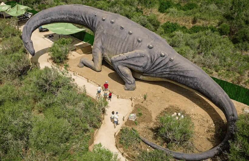 Mallorca: Caves of Hams and Dinosaurland Ticket with Pickup - Frequently Asked Questions