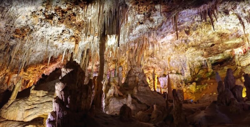 Mallorca: Day Trip to Caves of Hams & Optional Dinosaurland - Final Thoughts: Is It Worth It?