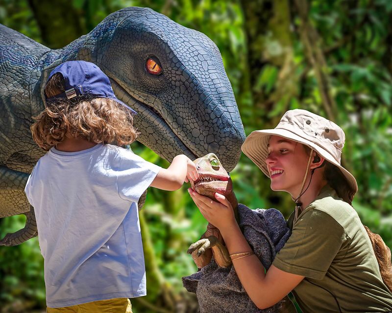 Mallorca: Dinosaurland and Caves of Hams Combined Ticket - Final Thoughts: Is This Tour Worth It?