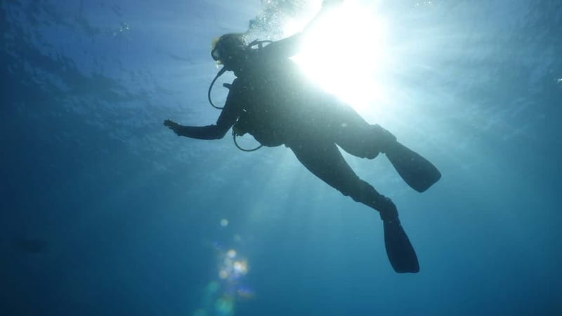 Mallorca: Discover Scuba Diving from the boat - Key Points
