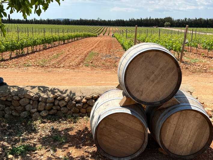 Mallorca: Discover the secret treasures of the local wine - Final Thoughts