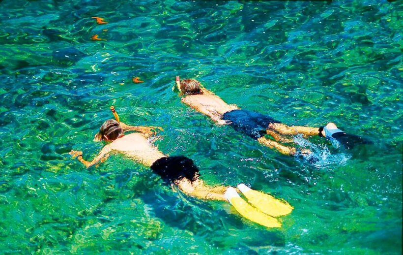 Mallorca: Dolphin Watching Cruise - Authenticity, Value, and Who Will Love This