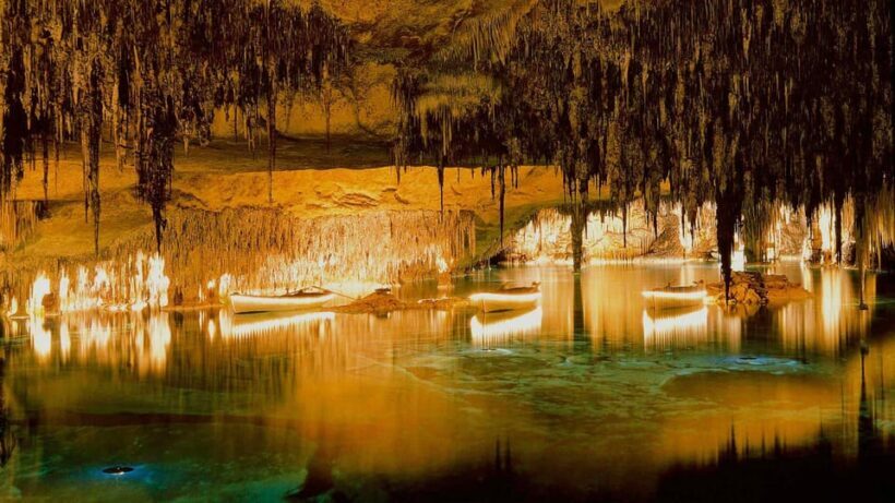 Mallorca: Drach and Hams Caves, and Porto Cristo Day Tour - Who Is This Tour Best For?