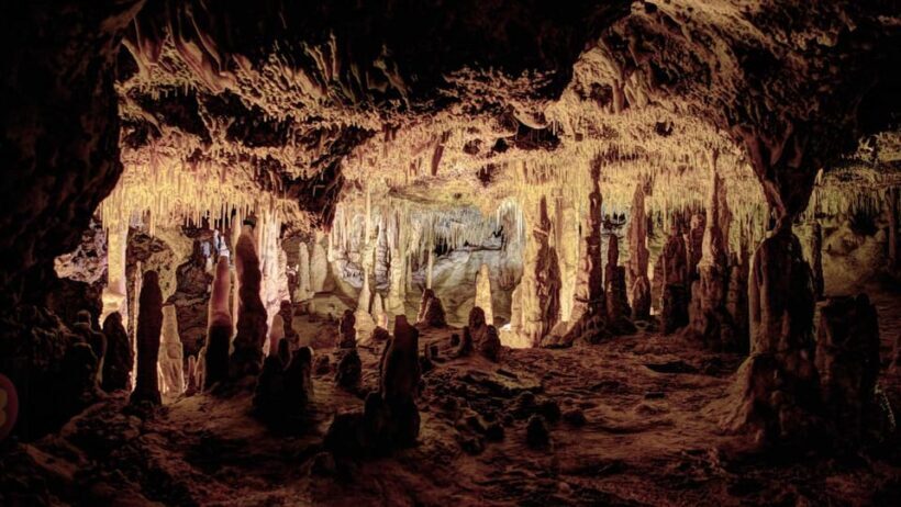 Mallorca: Drach Caves, Lake Martel, & Pearl Factory Day Trip - The Majorica Pearls Factory Visit