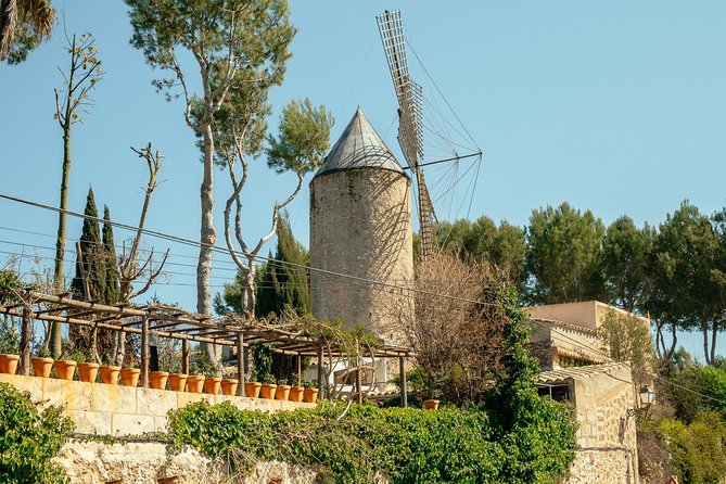 Mallorca Drach Caves Private Day Trip by Car With Hotel Pick-Up - Key Points