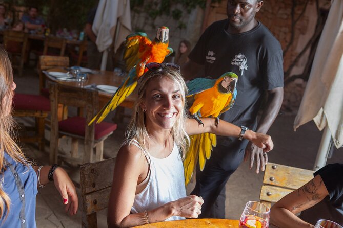 Mallorca Evening Tour: Horseback Riding, Dinner and Dance - Farm Visit and Interaction