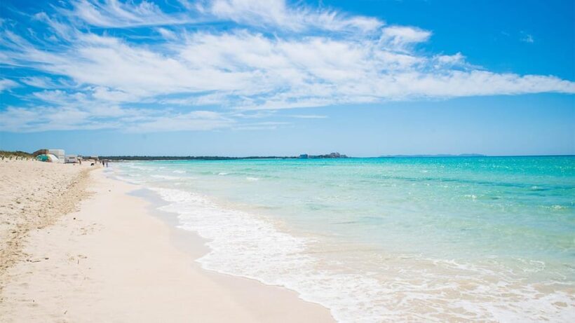 Mallorca Experinence: Es Trenc con Paddlesurf y Snorkel - Key Points