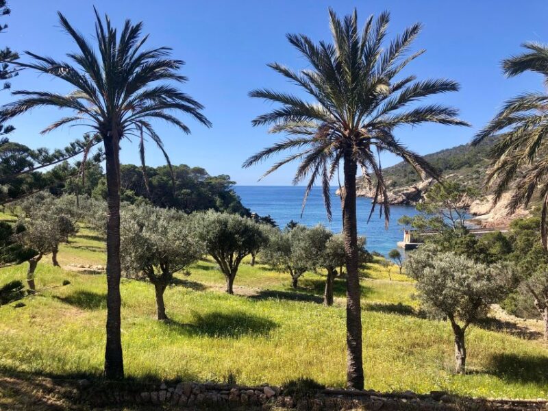 Mallorca: Explore the Island Dragonera with the kayak - Key Points