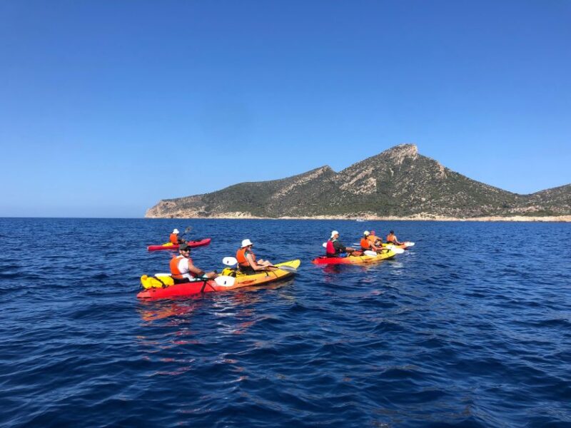 Mallorca: Explore the Island Dragonera with the kayak - Practical Details and Considerations