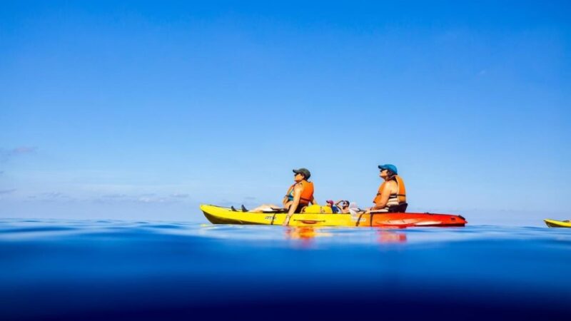 Mallorca: Explore the Island Dragonera with the kayak - FAQs